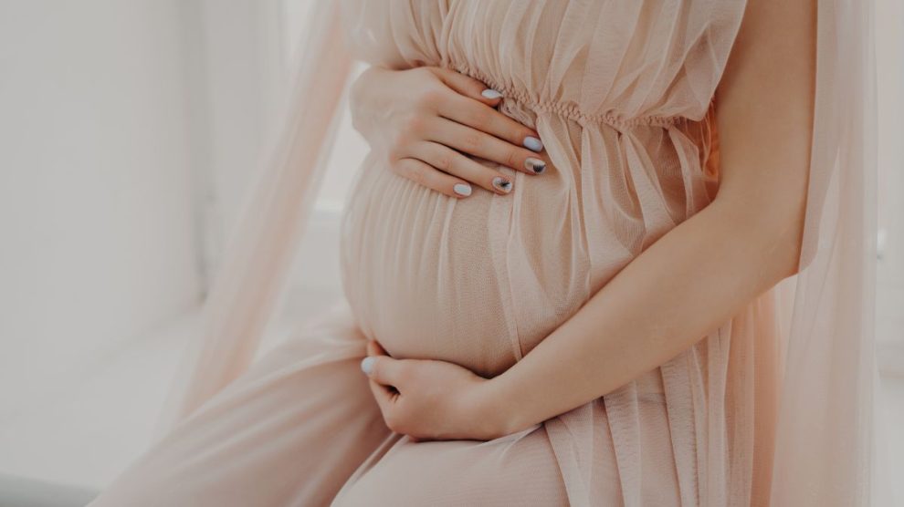 fisco fácil rio de janeiro - Rio em Foco - Notícias do Rio de Janeiro